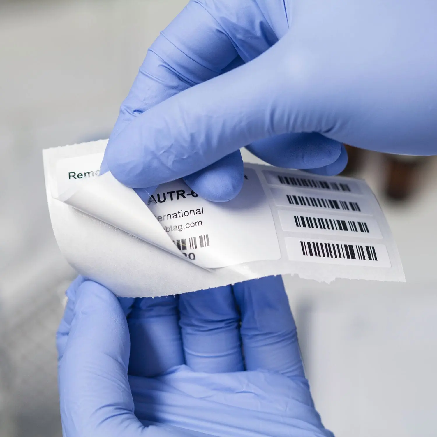 Piggy Back Labels ~ Trridev Labelss